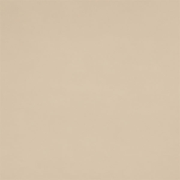 Backdrop Headshot Light Almond Smooth Tone Backdrop GTY3-360