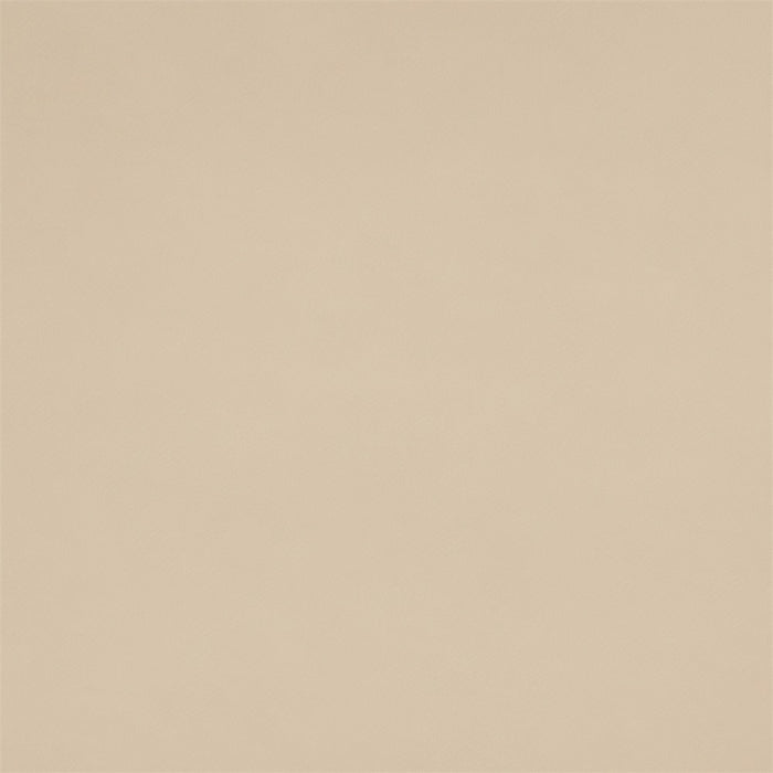 Backdrop Headshot Light Almond Smooth Tone Backdrop GTY3-360