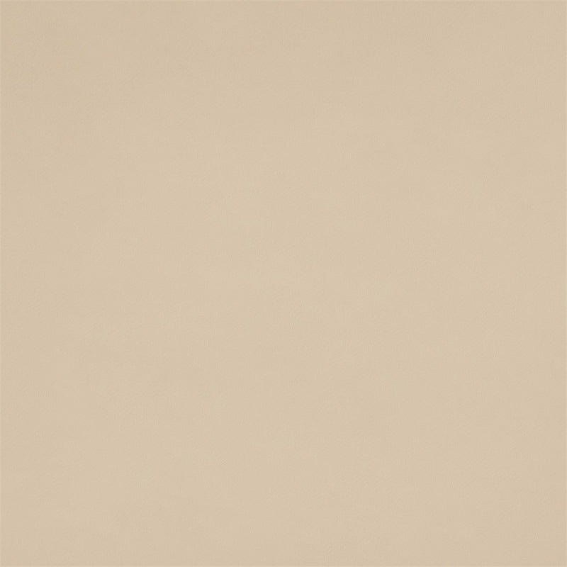 Backdrop Headshot Light Almond Smooth Tone Backdrop GTY3-360