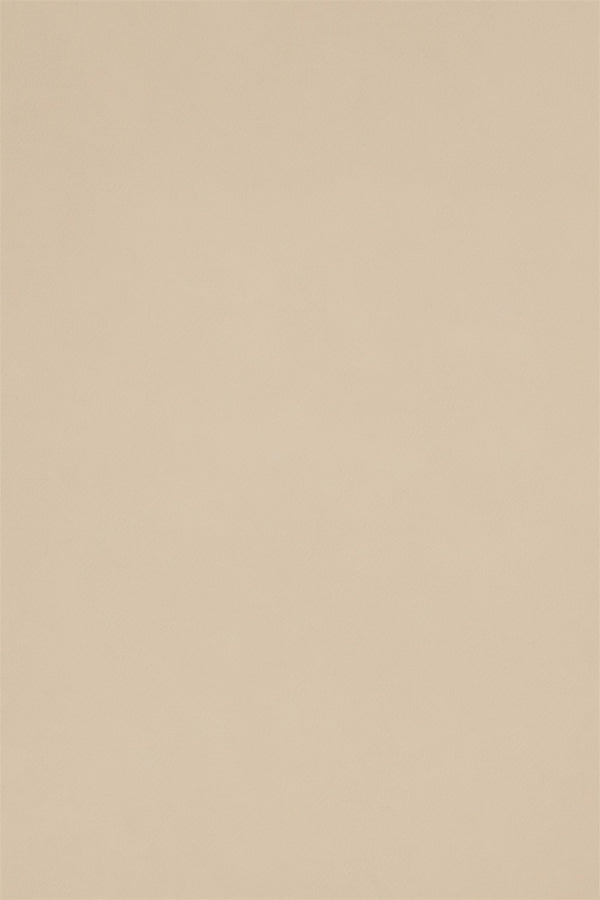 Backdrop Headshot Light Almond Smooth Tone Backdrop GTY3-360