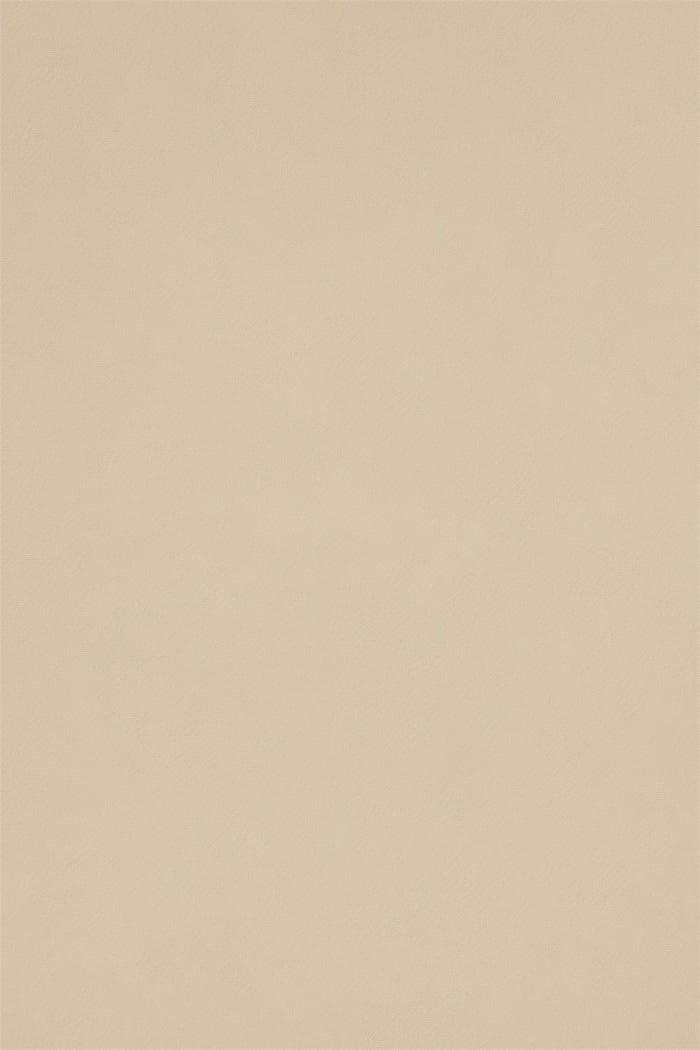 Backdrop Headshot Light Almond Smooth Tone Backdrop GTY3-360