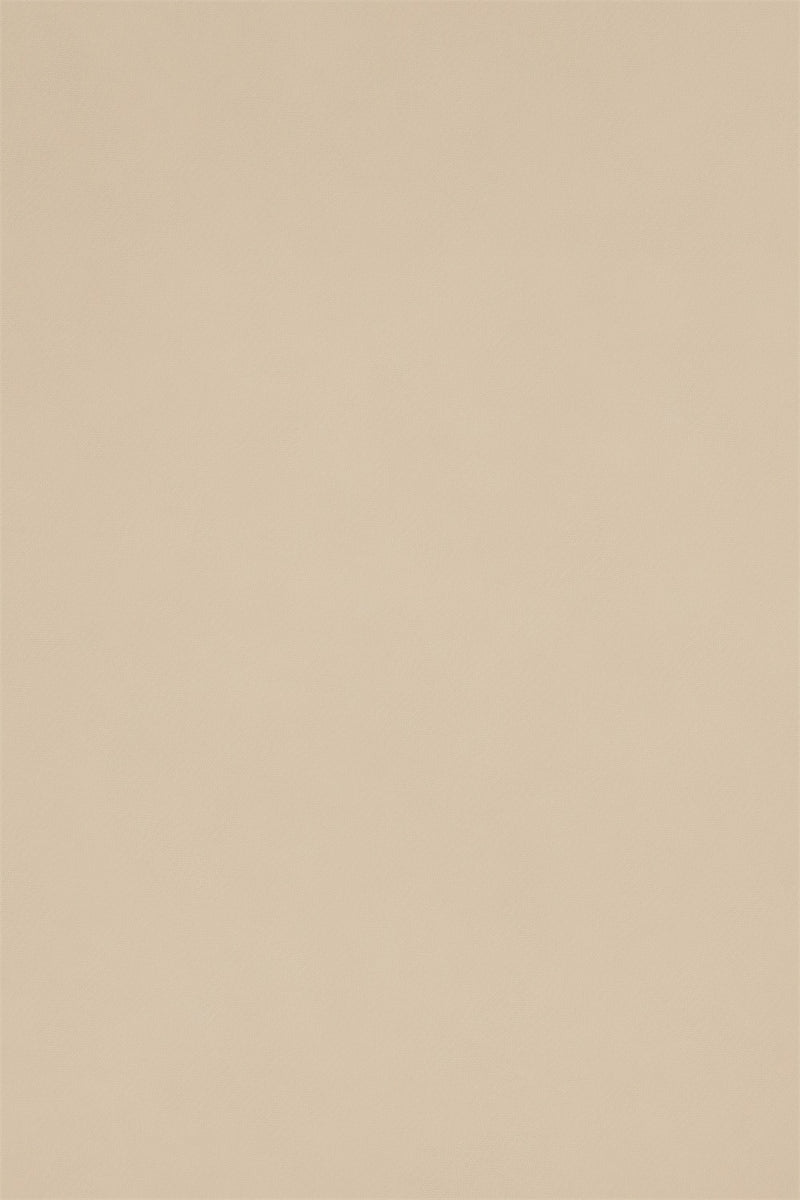 Backdrop Headshot Light Almond Smooth Tone Backdrop GTY3-360