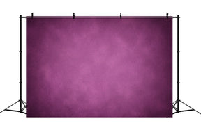 Purple Backdrops Artistic Soft Mauve Gradient Backdrop GTY3-80