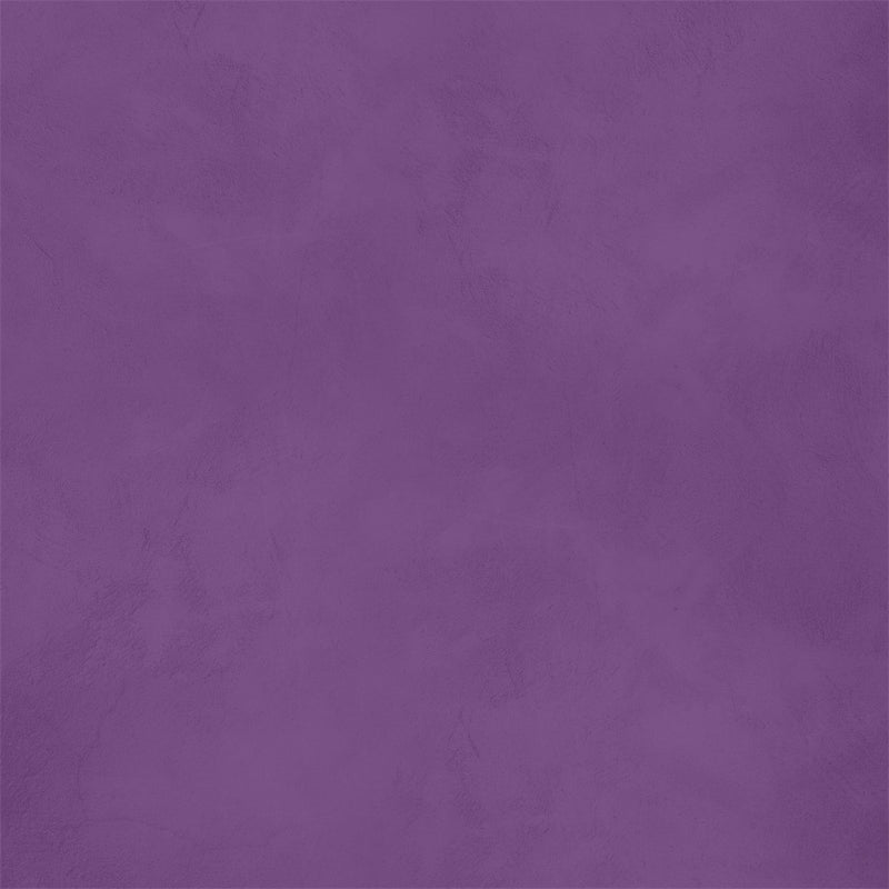 School Portrait Backdrops Deep Violet Textured Backdrop GTY3-86