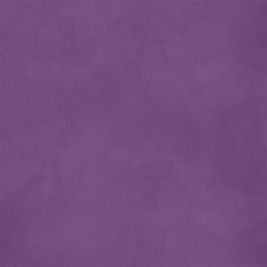 School Portrait Backdrops Deep Violet Textured Backdrop GTY3-86