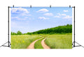 Blue Sky Backdrop Country Trail Meadow Backdrop LXX1-302