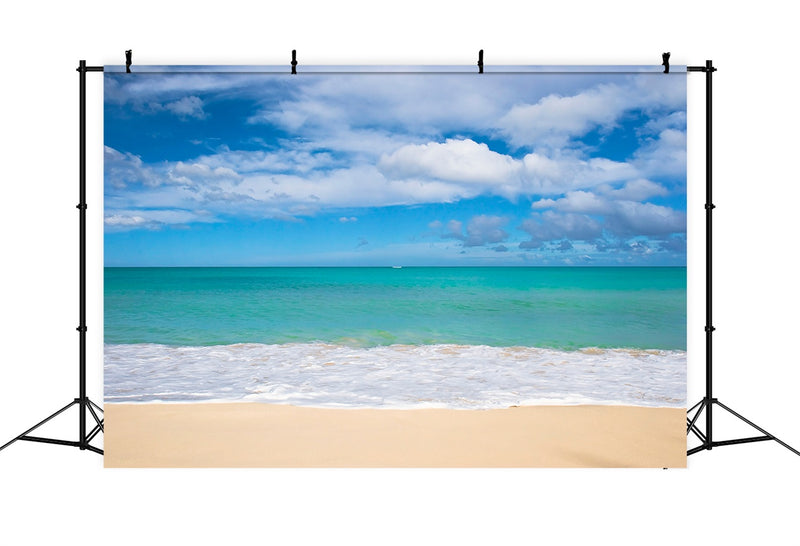 Ocean Sky Backdrop Peaceful Shoreline Blue Water Backdrop LXX1-316