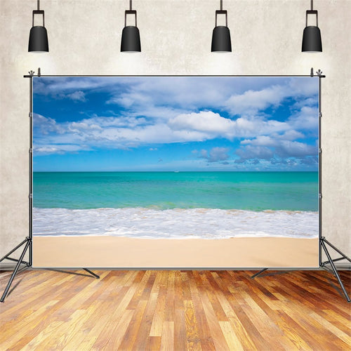 Ocean Sky Backdrop Peaceful Shoreline Blue Water Backdrop LXX1-316