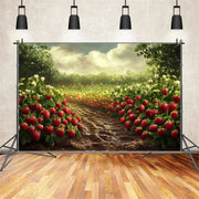 Spring Backdrops Ideas Sunlit Strawberry Field Photography Backdrop LX