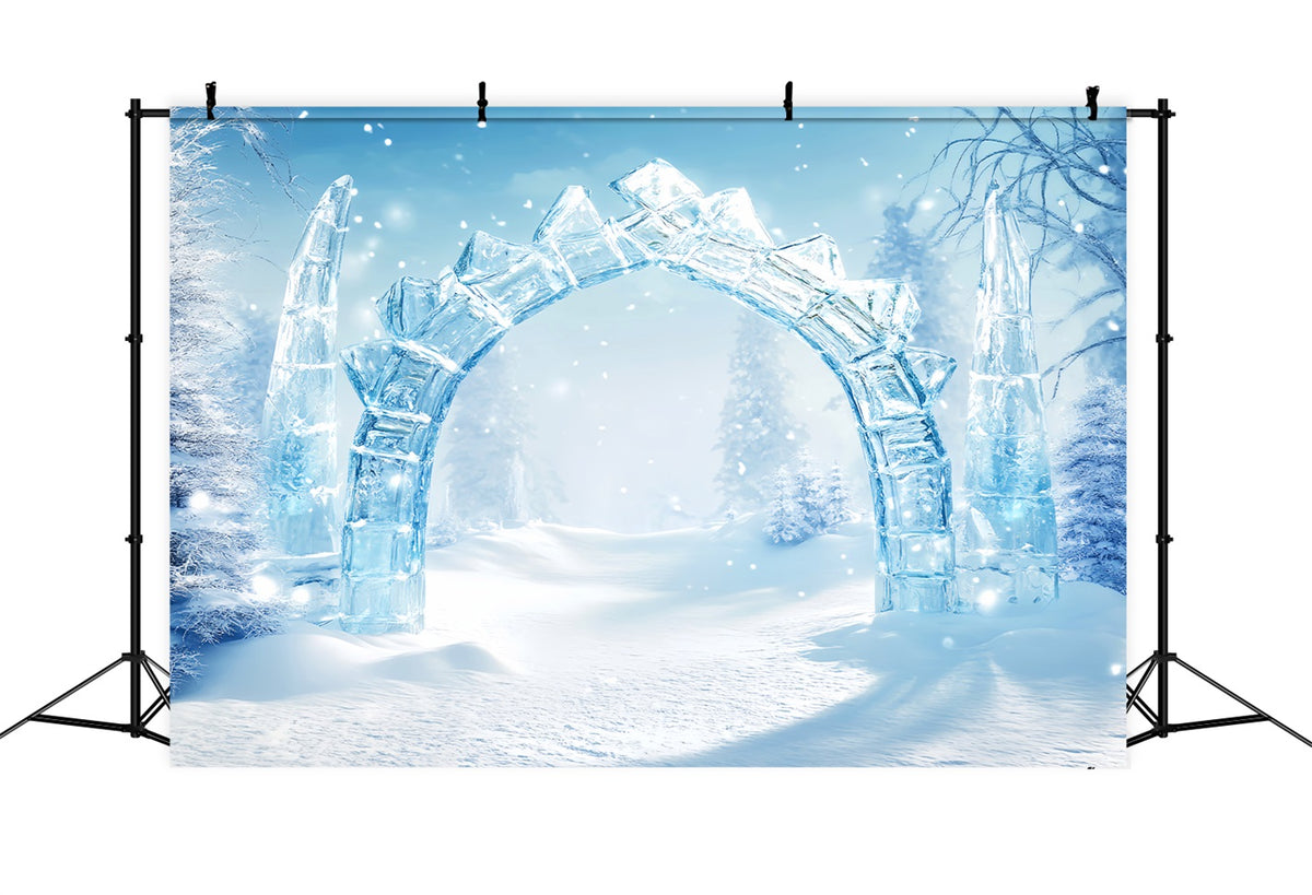 Wonderland Backdrop Crystal Ice Arch Path Winter Photo Backdrops LXX51