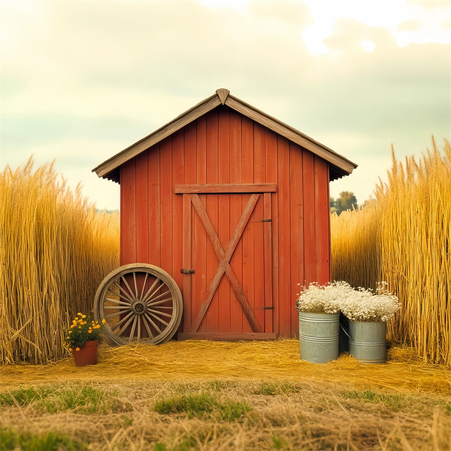 Barn Backdrops Golden Wheatfield Rustic Backdrop LXX57-380