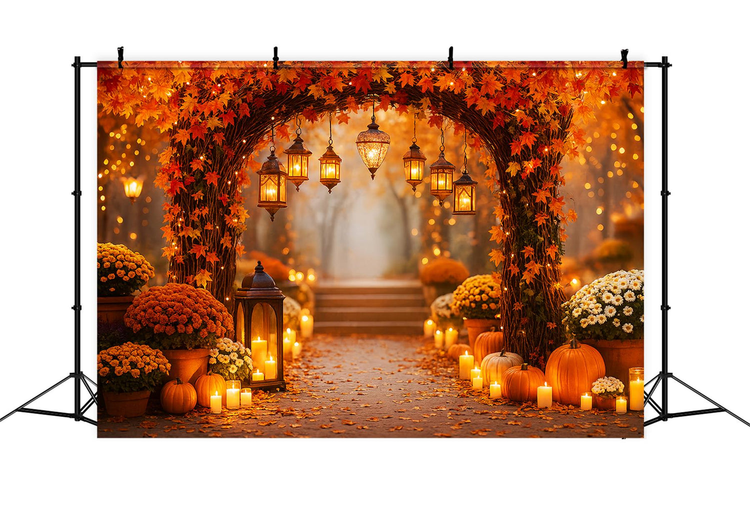 Rustic Pumpkins Backdrop Autumn Lantern Pathway Pumpkins Fall Backdrop
