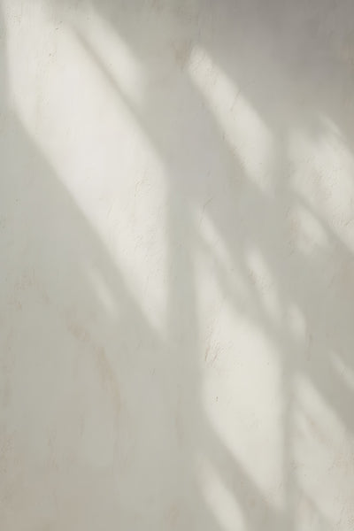 Concrete Backdrop Soft Shadow Texture Wall Portrait Backdrops LXX59-41