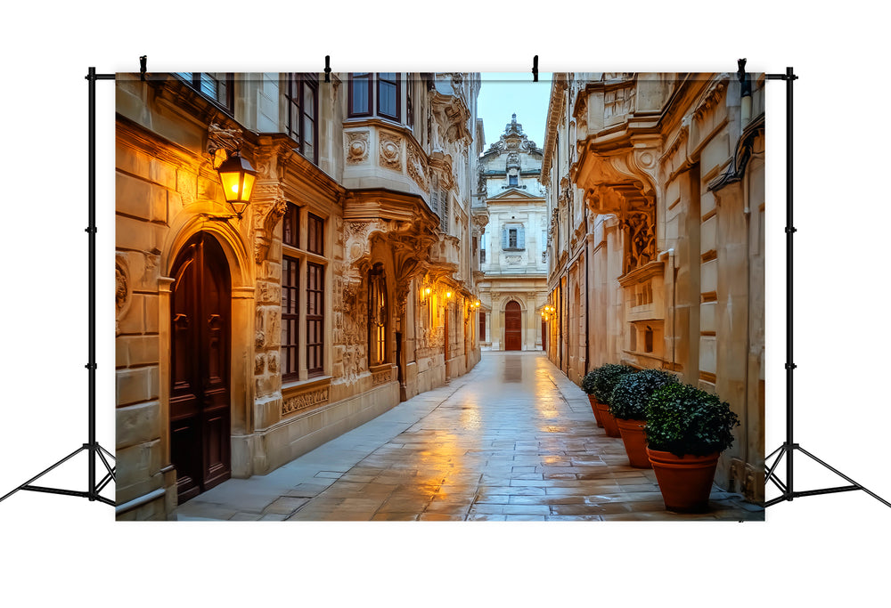 French Town Backdrop Golden Alley Evening Glow European Backdrop LXX59