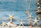 Summer Sandy Beach Starfish Shell Backdrop M-90 – Dbackdrop