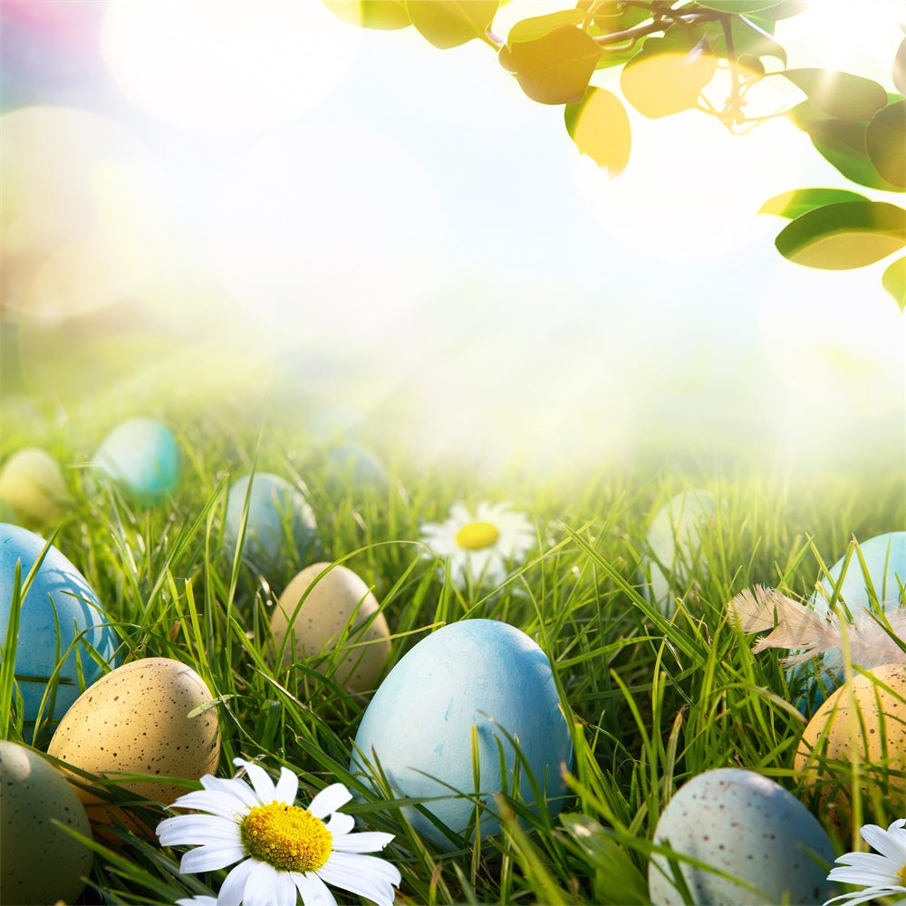 Easter Egg Daisy Sunshine Leaf Lawn Backdrop M1-53 – Dbackdrop