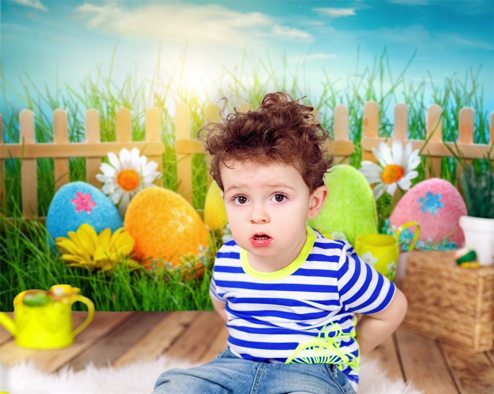 Easter Daisy Egg Fence Grassy Sky Backdrop M1-58 – Dbackdrop