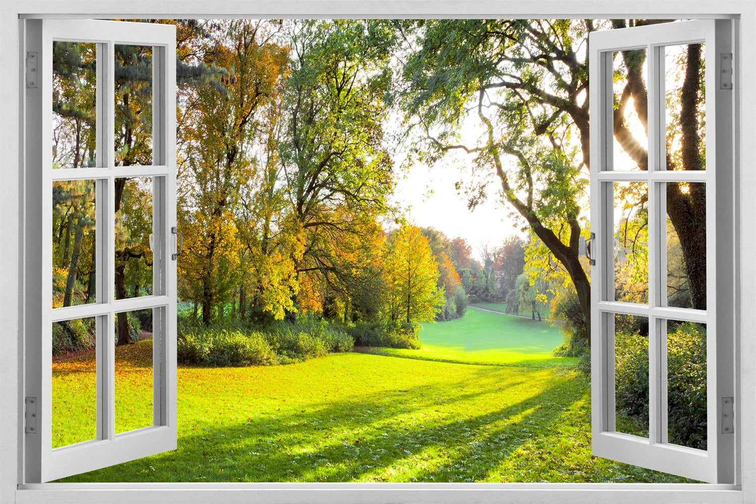 Early Spring Window View Tall Woods Recovery Backdrop M1-59 – Dbackdrop