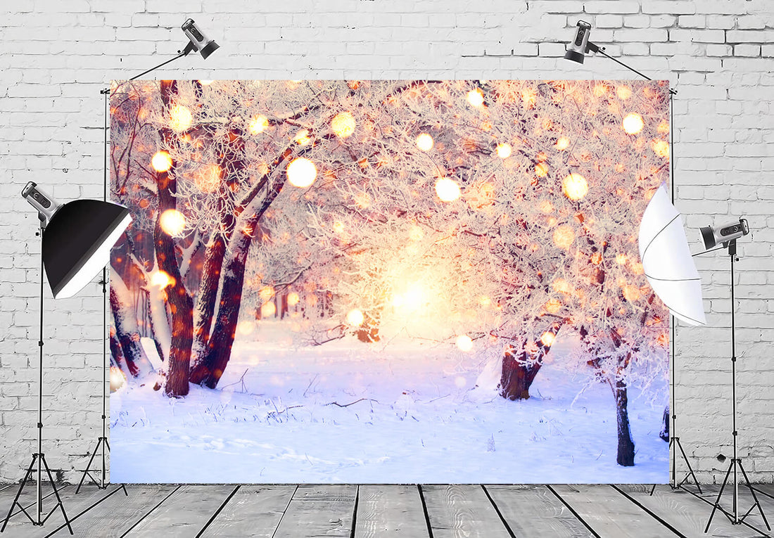 Winter Snow Glitter Lights Photography Backdrop M10-71 – Dbackdrop