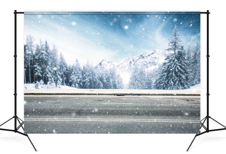 Winter Road Snow Covered Trees Backdrop M10-79 – Dbackdrop