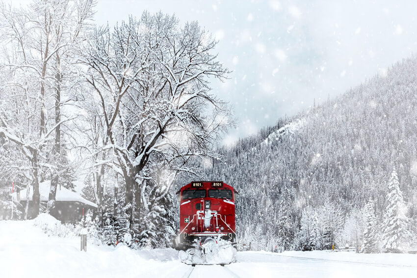 Winter Snow Covered Forest Train Backdrop M11-30 – Dbackdrop
