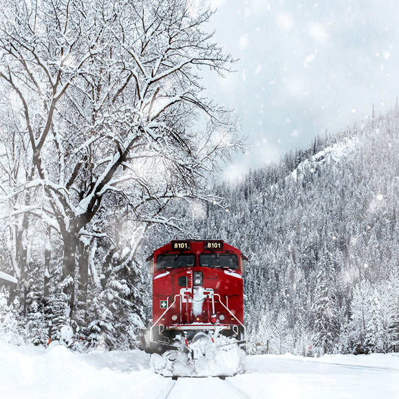 Winter Snow Covered Forest Train Backdrop M11-30 – Dbackdrop