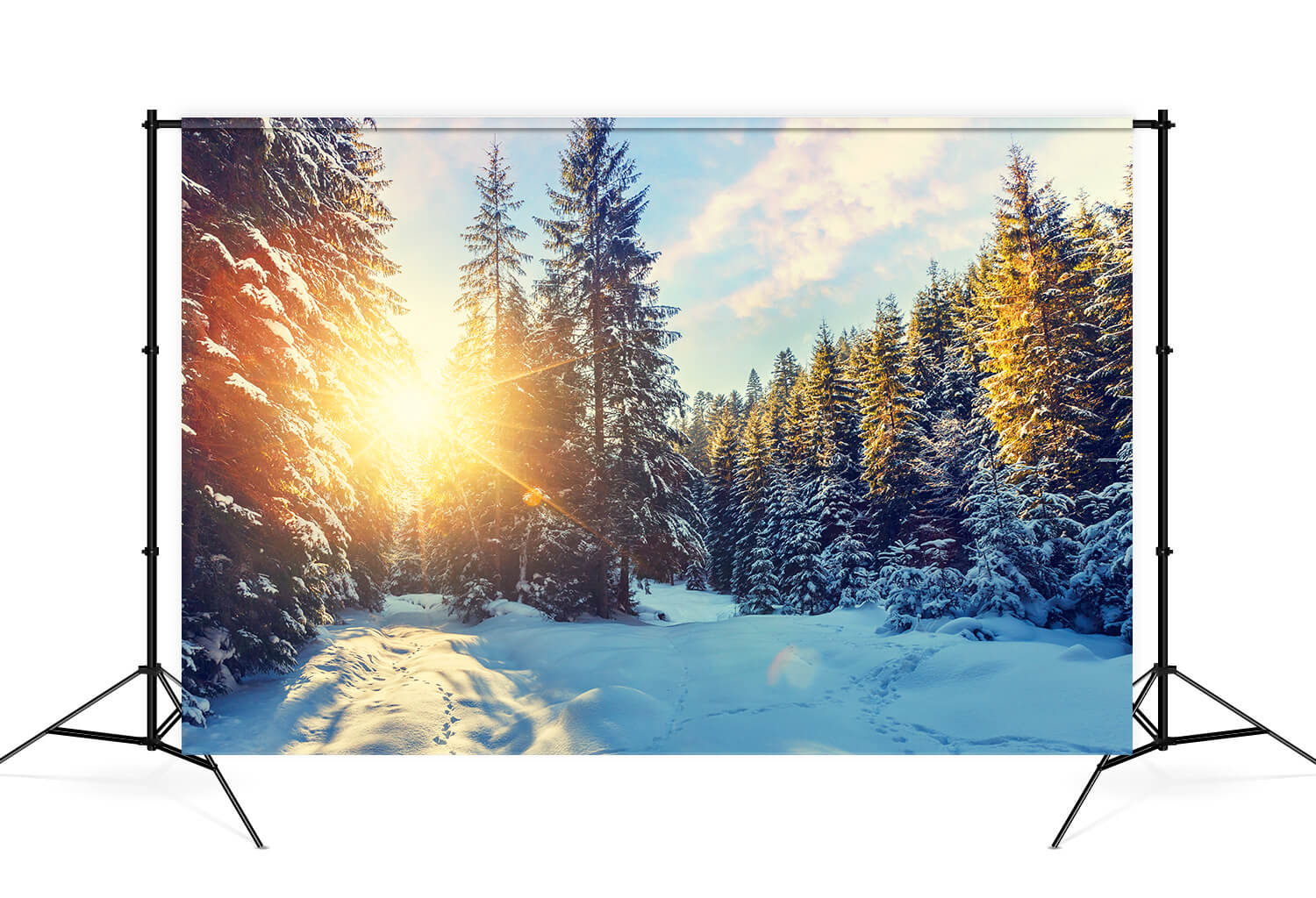 Winter Forest Snow Sunshine Scenery Backdrop M11-63 – Dbackdrop