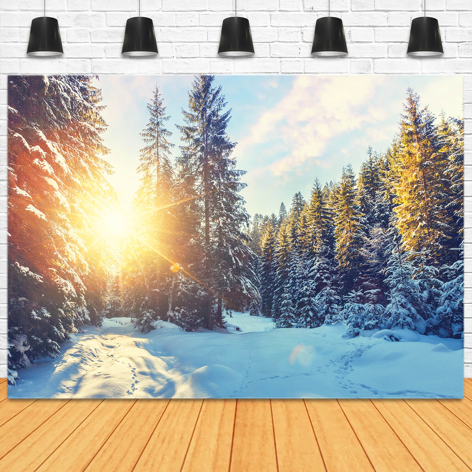Winter Forest Snow Sunshine Scenery Backdrop M11-63 – Dbackdrop