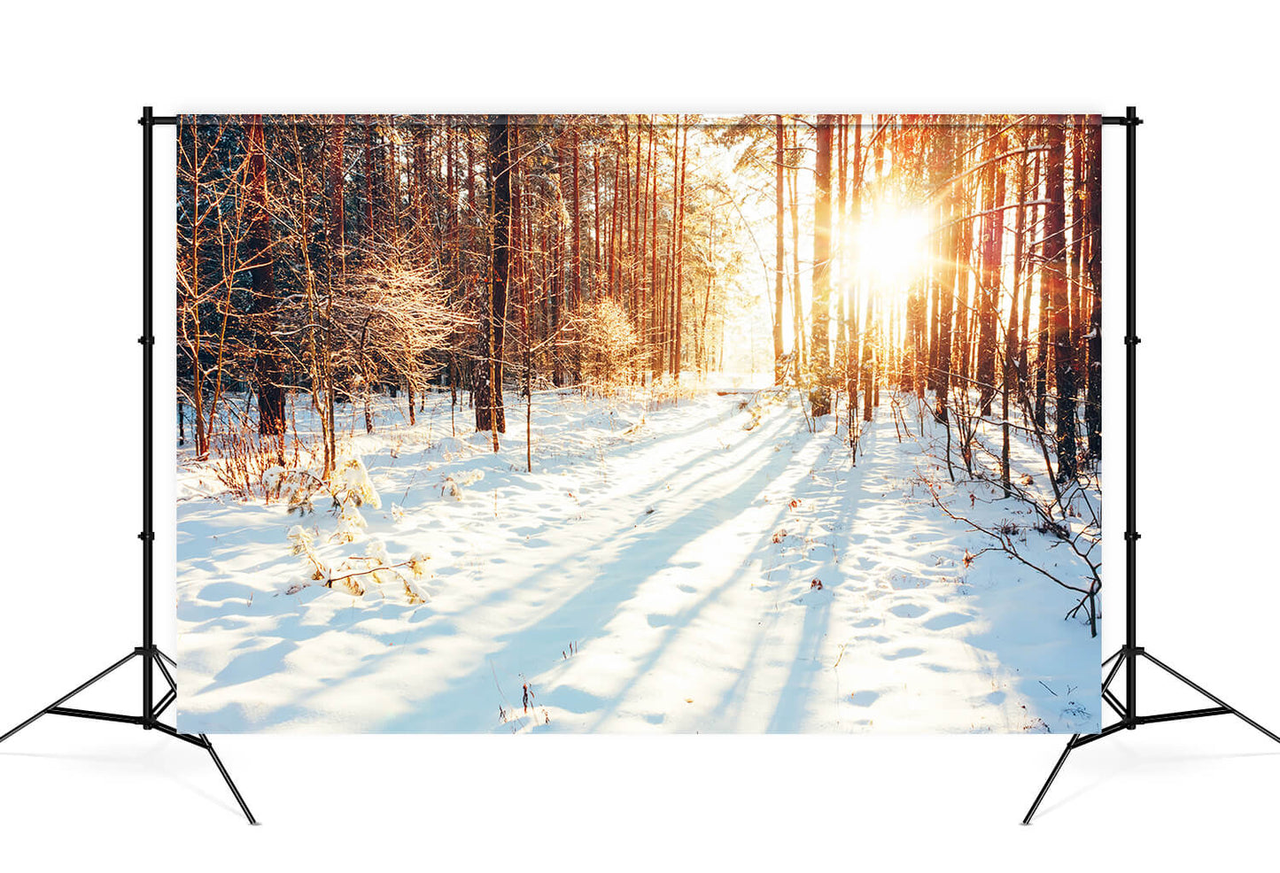 Winter Forest Path Sunlight Snow Backdrop M11-64 – Dbackdrop