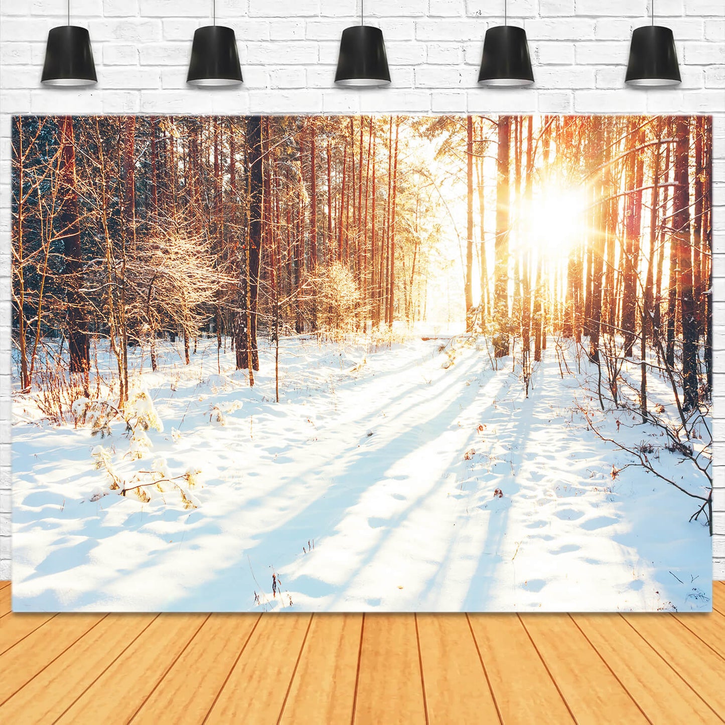 Winter Forest Path Sunlight Snow Backdrop M11-64 – Dbackdrop