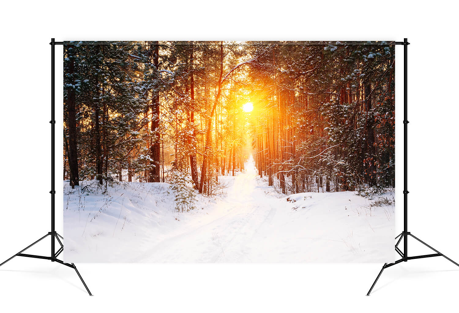 Winter Forest Sunrise Glow Landscape Backdrop M11-65 – Dbackdrop