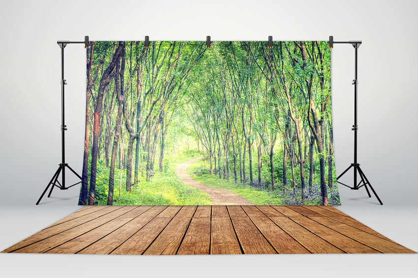 Enchanting Forest Lane Trees Wood Floor Backdrop M5-161 – Dbackdrop