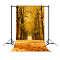 Autumn Landscape Alley Trees Sunlight Backdrop M6-105 – Dbackdrop
