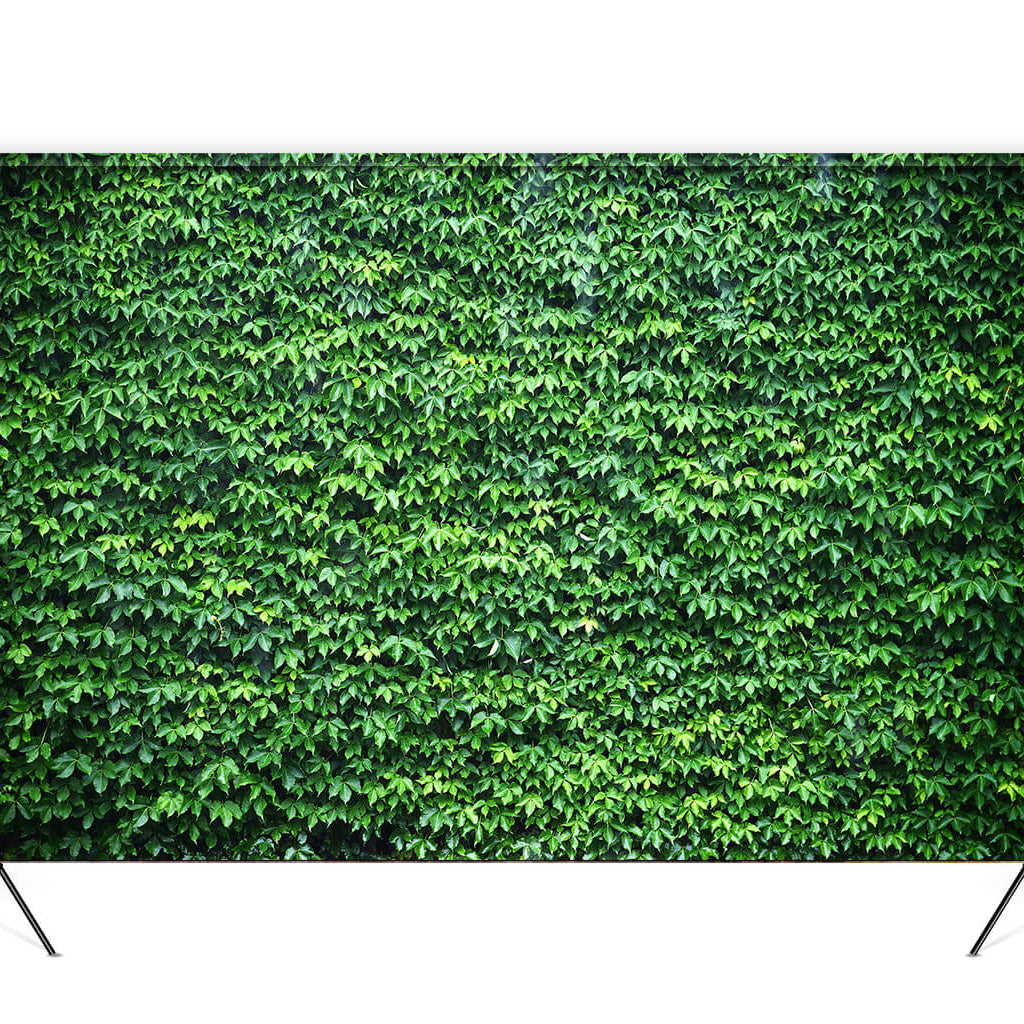 Green Ivy Wall Backdrop for Photo Booth M6-117 – Dbackdrop