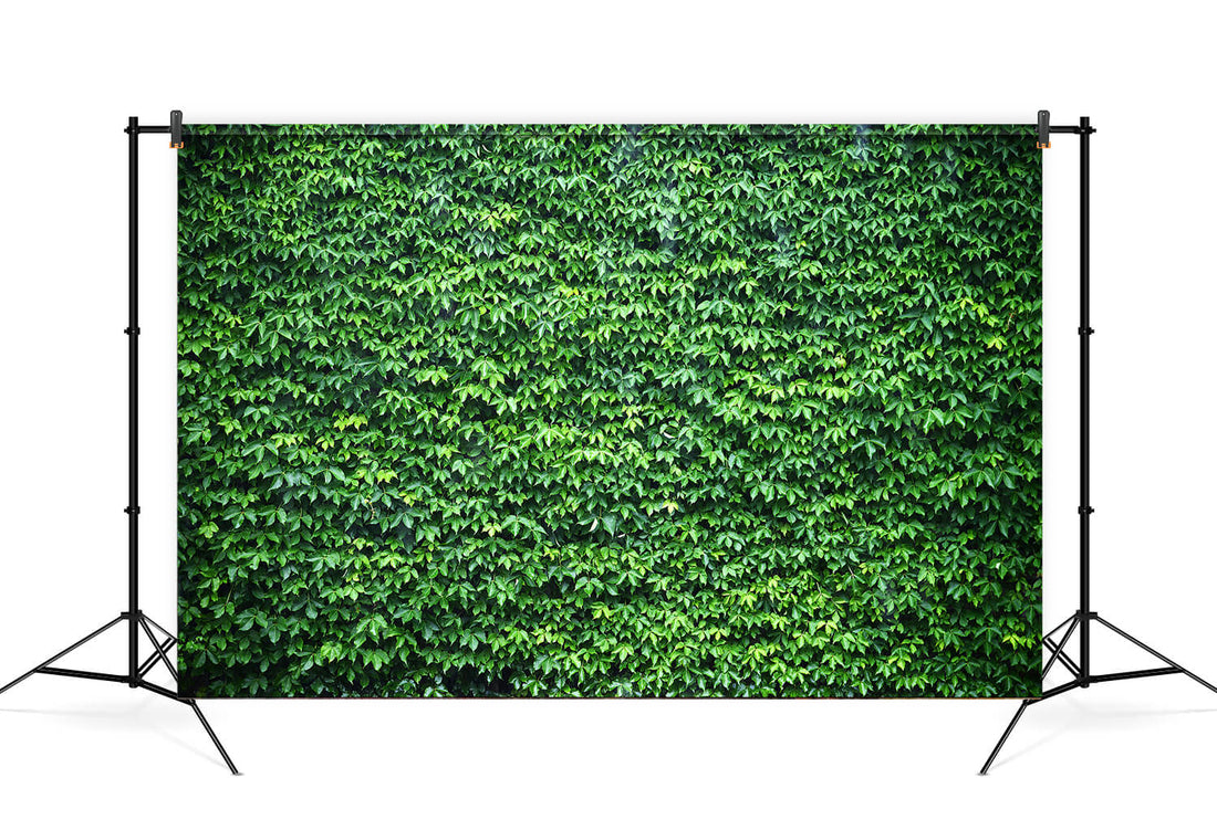 Green Ivy Wall Backdrop for Photo Booth M6-117 – Dbackdrop