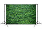 Green Ivy Wall Backdrop for Photo Booth M6-117 – Dbackdrop
