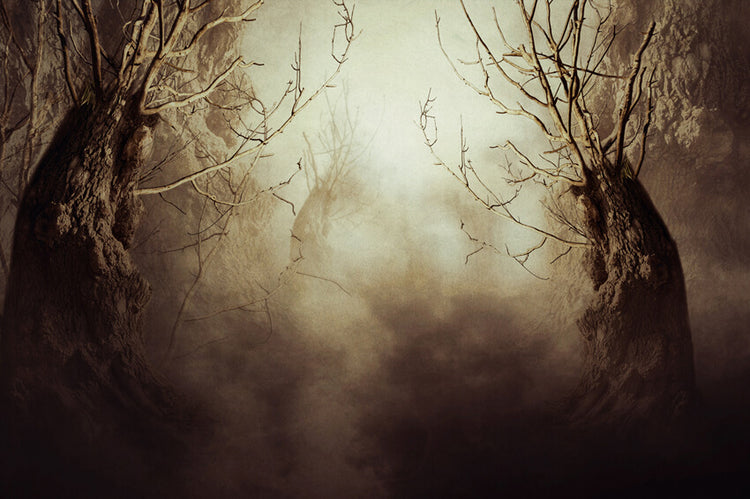 Spooky Tree Night Mist Halloween Backdrop M6-133 – Dbackdrop