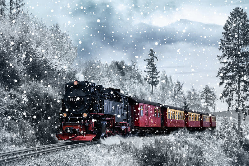 Winter Snow Mountain Scenery Train Backdrop M6-138