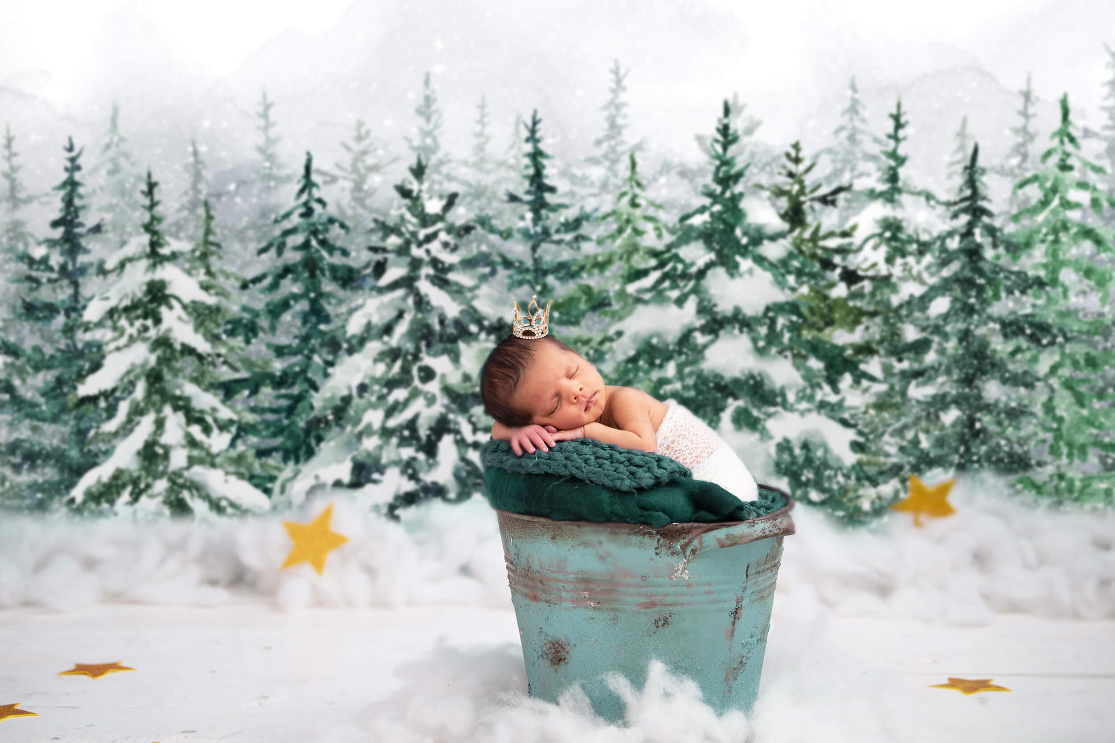 Winter Pine Trees Forest Snow Scenery Backdrop M7-43 – Dbackdrop