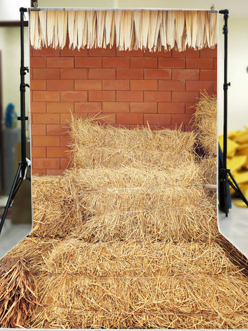 Barn Backdrops – Page 2 – Dbackdrop