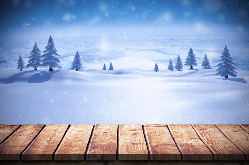 Winter Snow Forest Trees Photography Backdrop M8-19