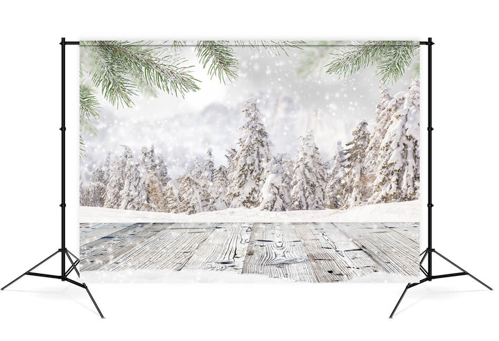 Winter Snow Backdrops for Photography-Dbackdrop – Page 4