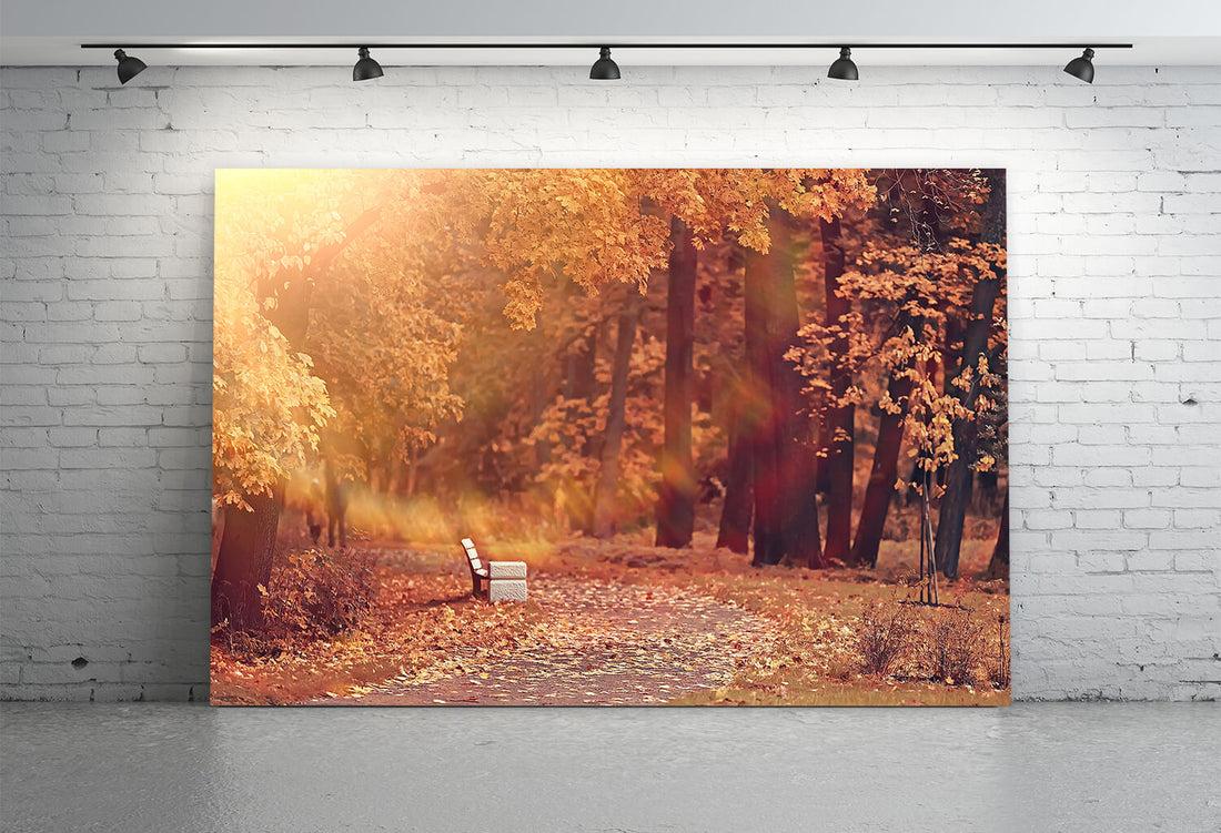 Autumn Park Maple Tree Leaves Backdrop M8-34 – Dbackdrop