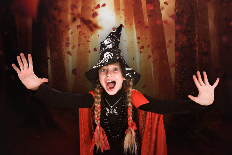 Autumn Forest Pathway Falling Leaves Backdrop M9-31 – Dbackdrop