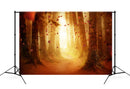 Autumn Forest Pathway Falling Leaves Backdrop M9-31 – Dbackdrop
