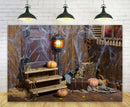 Old Wood Room Spider Web Halloween Backdrop M9-34 – Dbackdrop