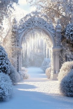 Winter Snow Backdrop Frozen Garden Arch Backdrop MRR7-175