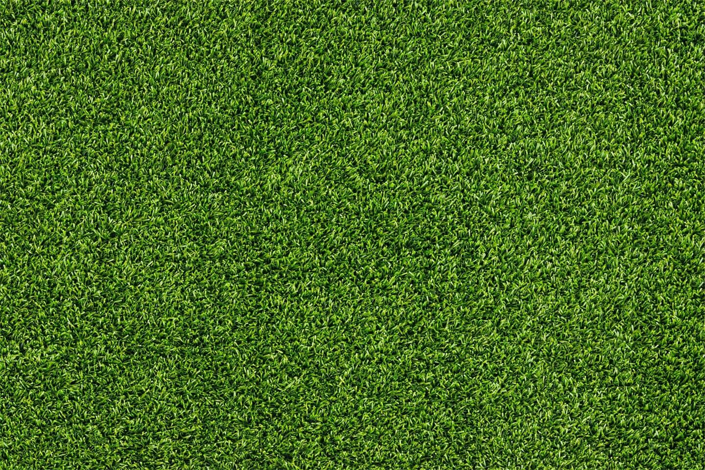 Spring Green Grass Rubber Floor Mat for Photography RM12-53 – Dbackdrop