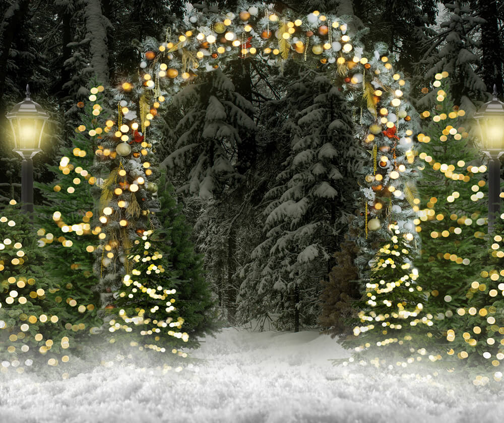 Twinkle Lights Christmas Trees Farm Backdrop Room Set – Dbackdrop