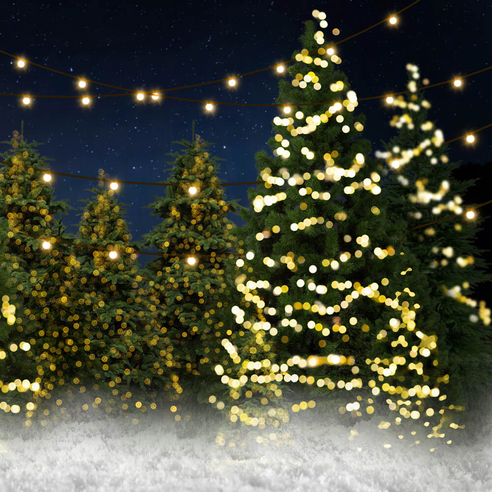 Twinkle Lights Christmas Trees Farm Backdrop Room Set – Dbackdrop